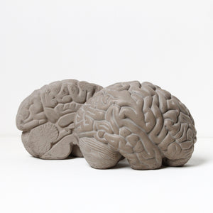 Lyon Beton Grey Matter Brain Bookends ( Concrete) – Design My World